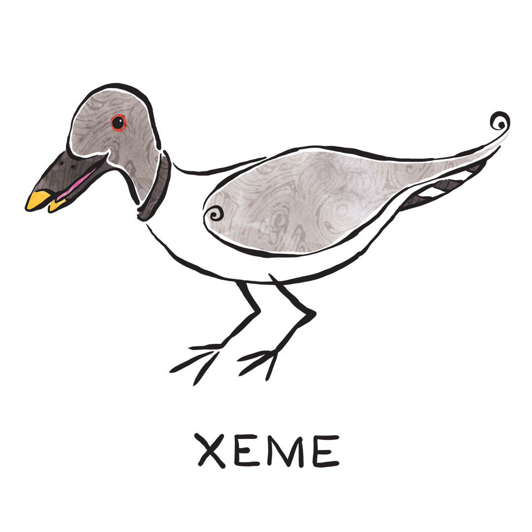 sadie3-xeme – Craig Kunce